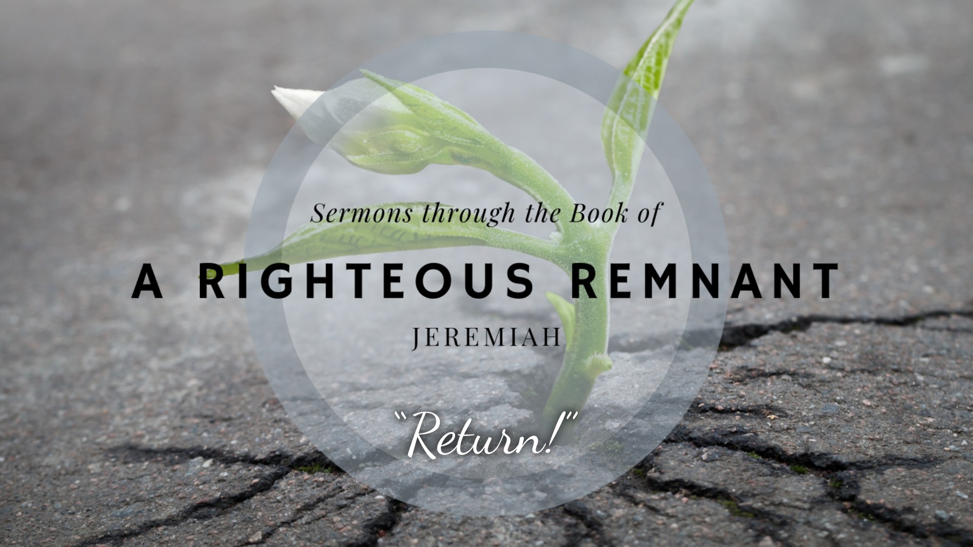Return! - Logos Sermons