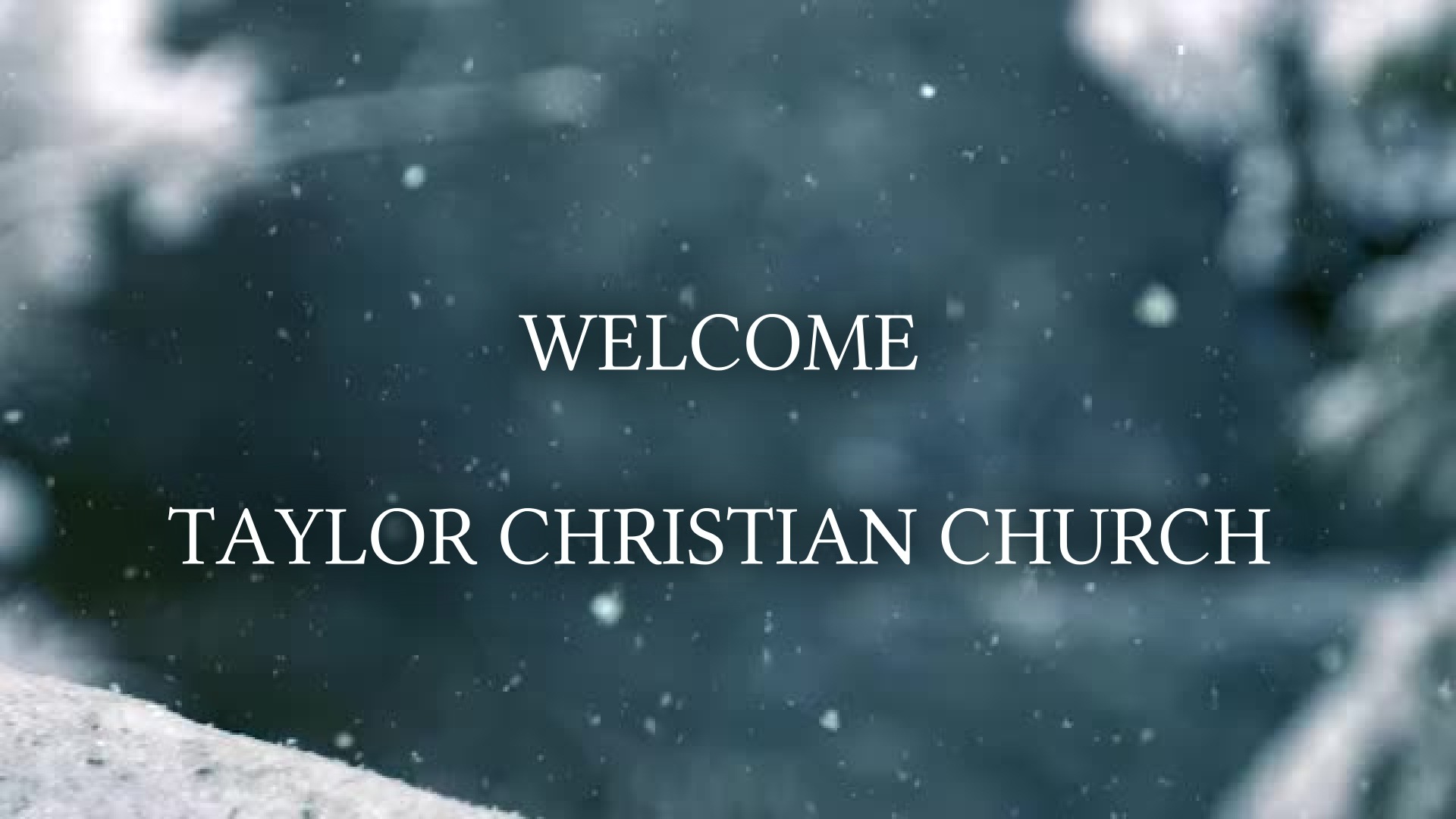 Jesus' Royal Genealogy - Logos Sermons