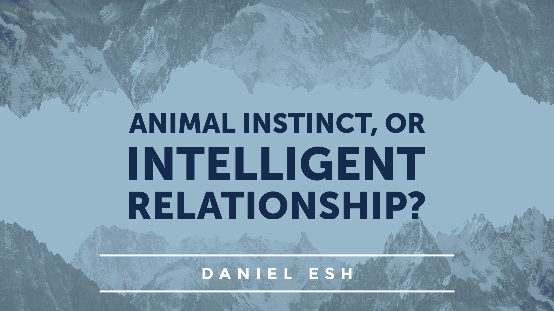 Animal Instinct, or Intelligent Relationship? (Ephesians Series: Part ...