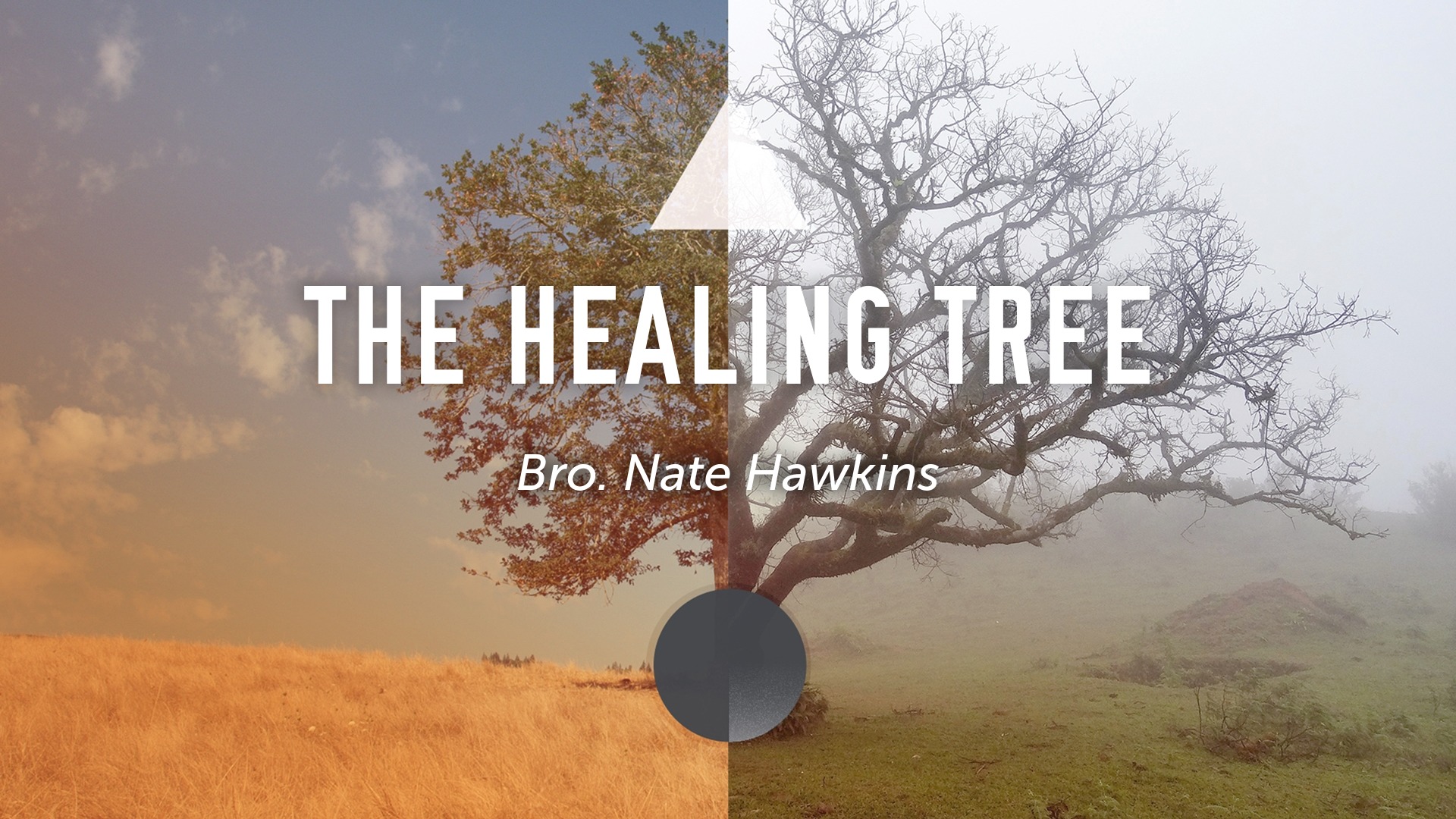 The Healing Tree , What Is Your Weakness - Logos Sermons