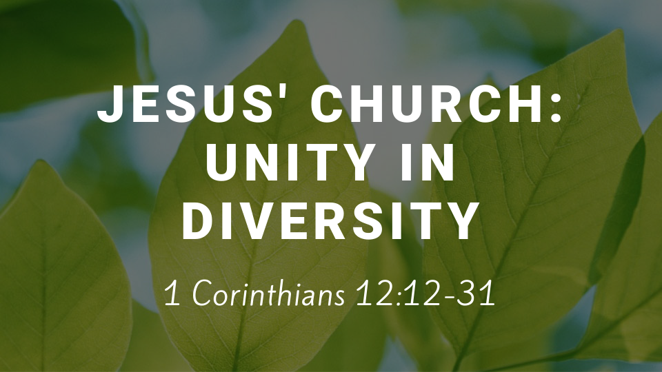 Jesus' Church: Unity in Diversity - Logos Sermons