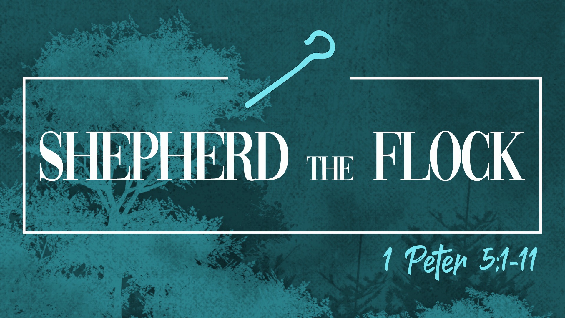 Shepherd the Flock - Logos Sermons