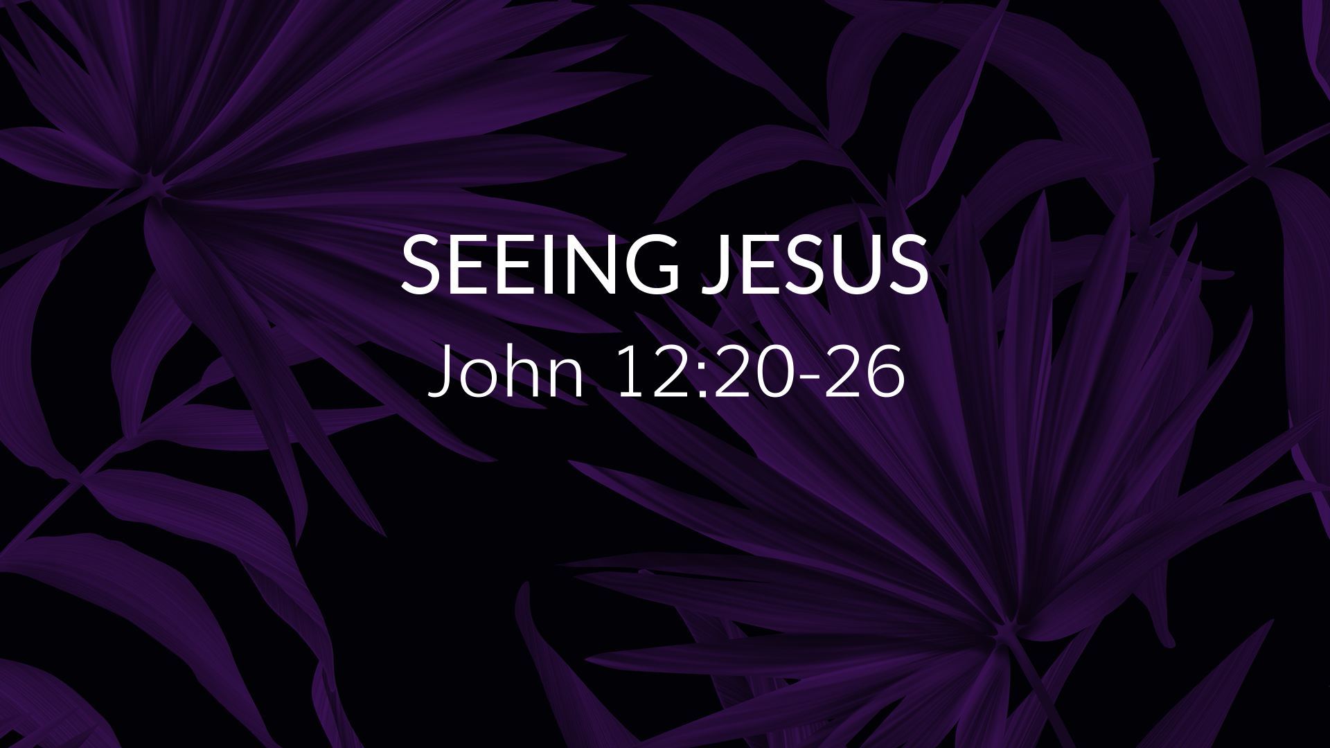 Seeing Jesus - Logos Sermons