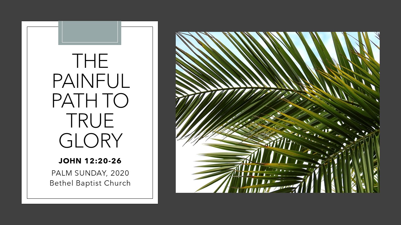 John 12:20-26 - The Painful Path to True Glory | Bethel Baptist Church