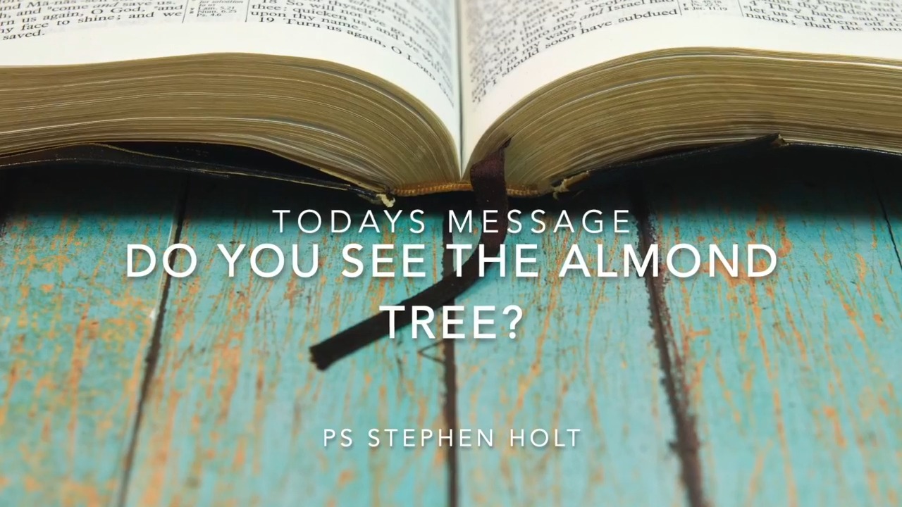 19.04.20 - Do you see the almond tree? - Ps Stephen Holt - Logos Sermons
