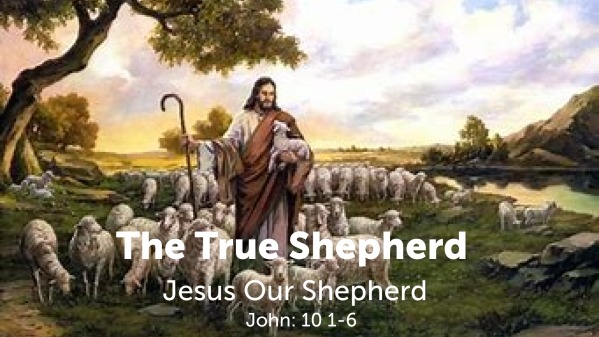The True Shepherd - Logos Sermons
