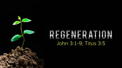 Regeneration - Logos Sermons
