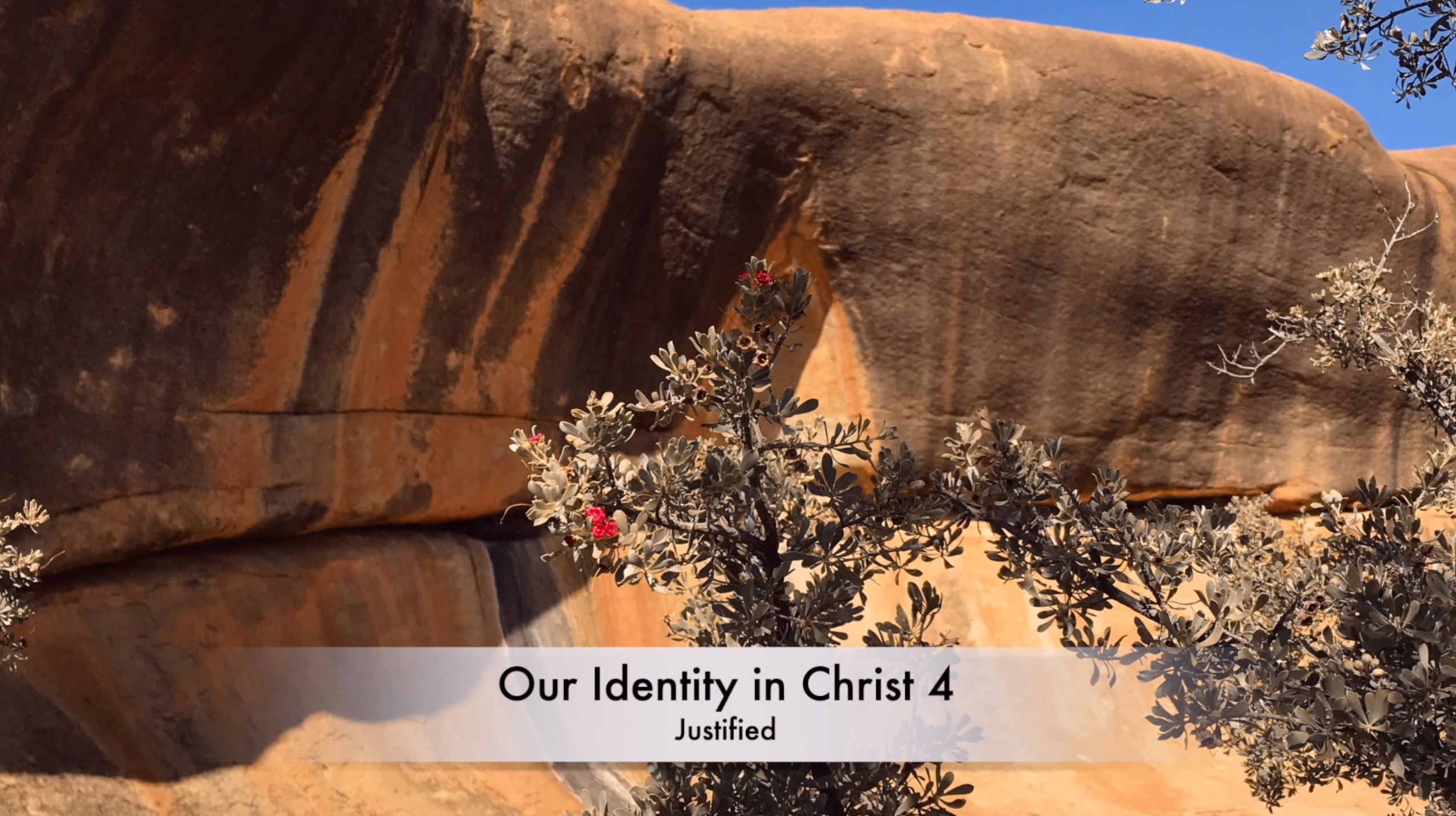 Identity 4: We are justified - Logos Sermons