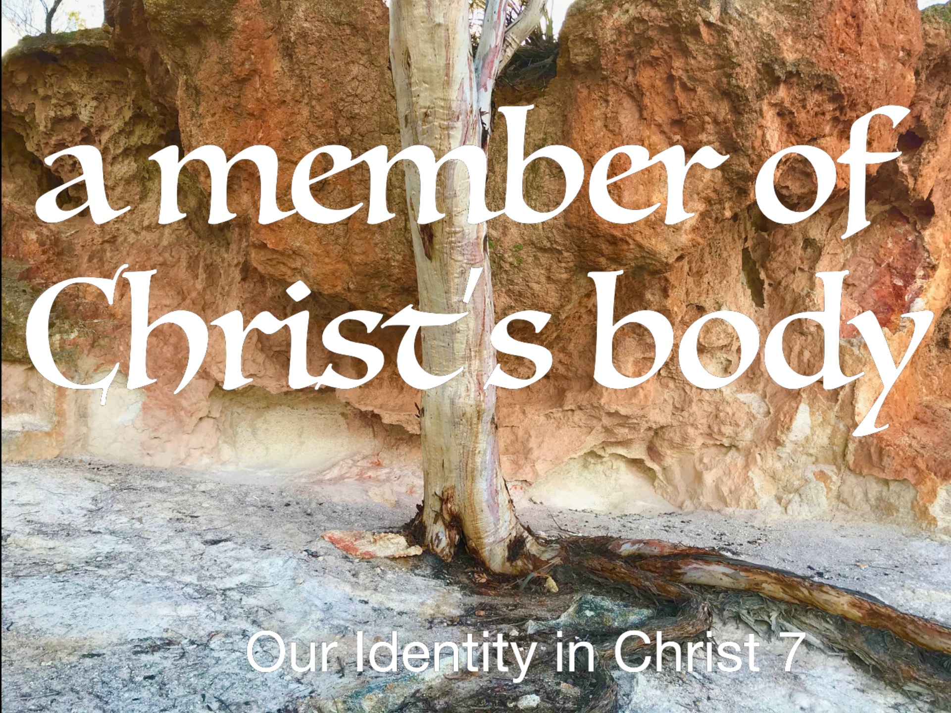 Identity 7: We are a member of Christ's body - Logos Sermons