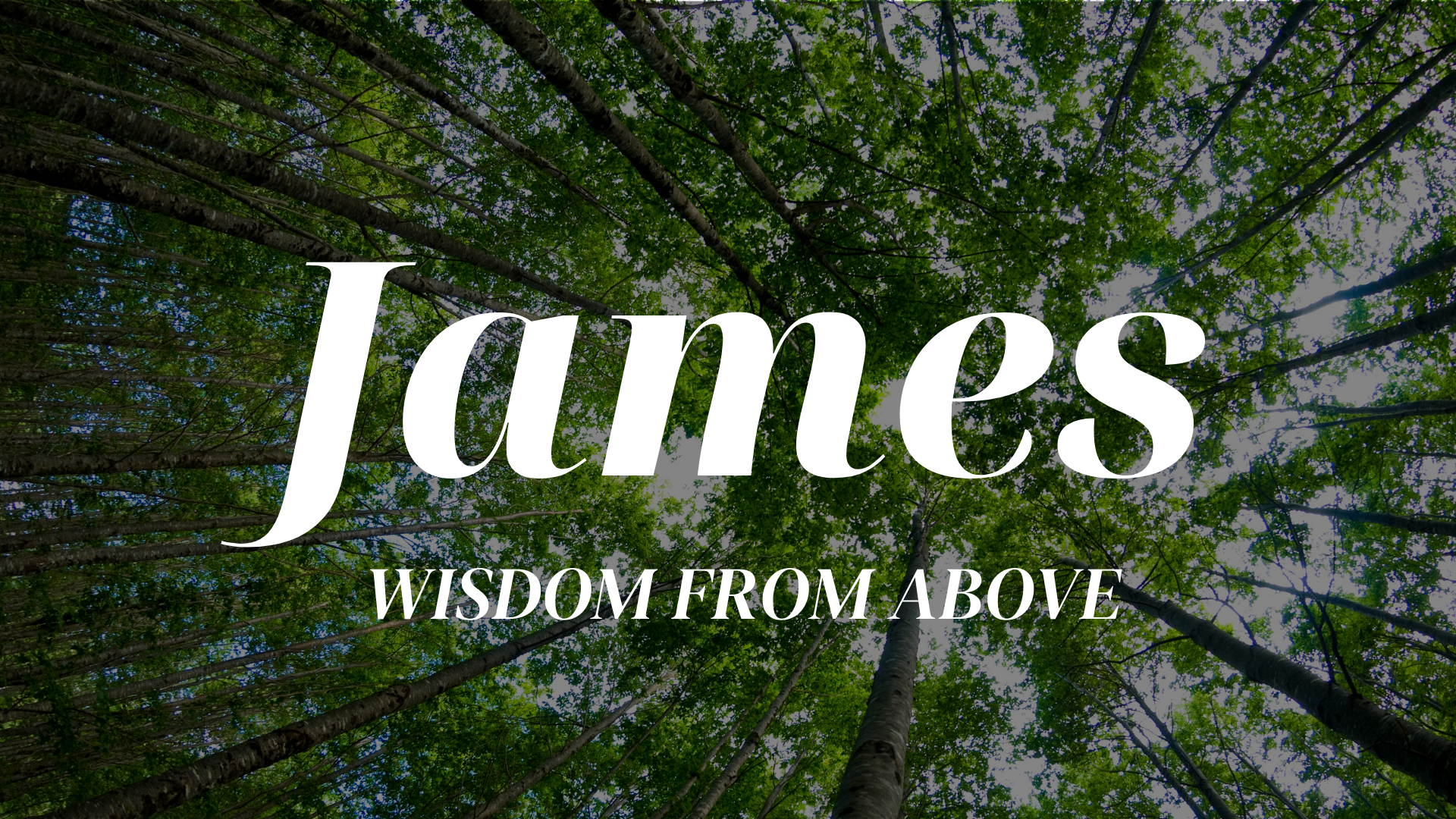 Faith Works - Logos Sermons