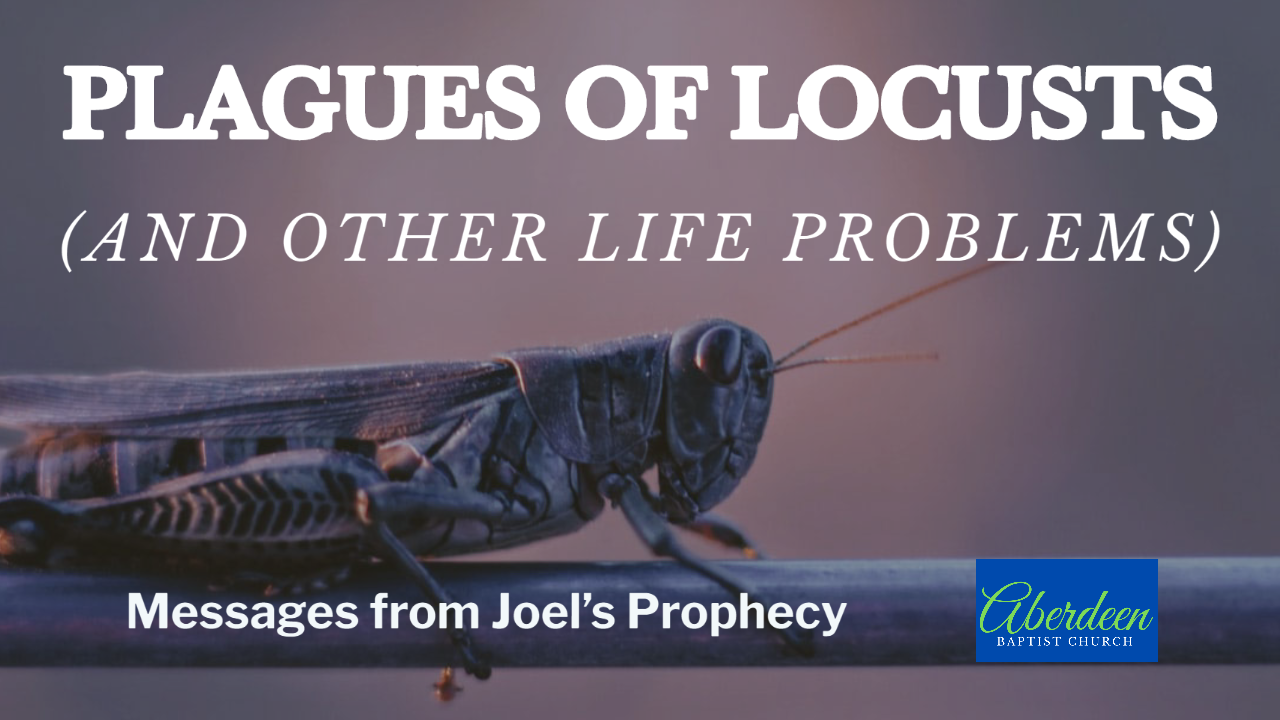 "Plagues of Locusts" - Joel 1:1-13 - Logos Sermons