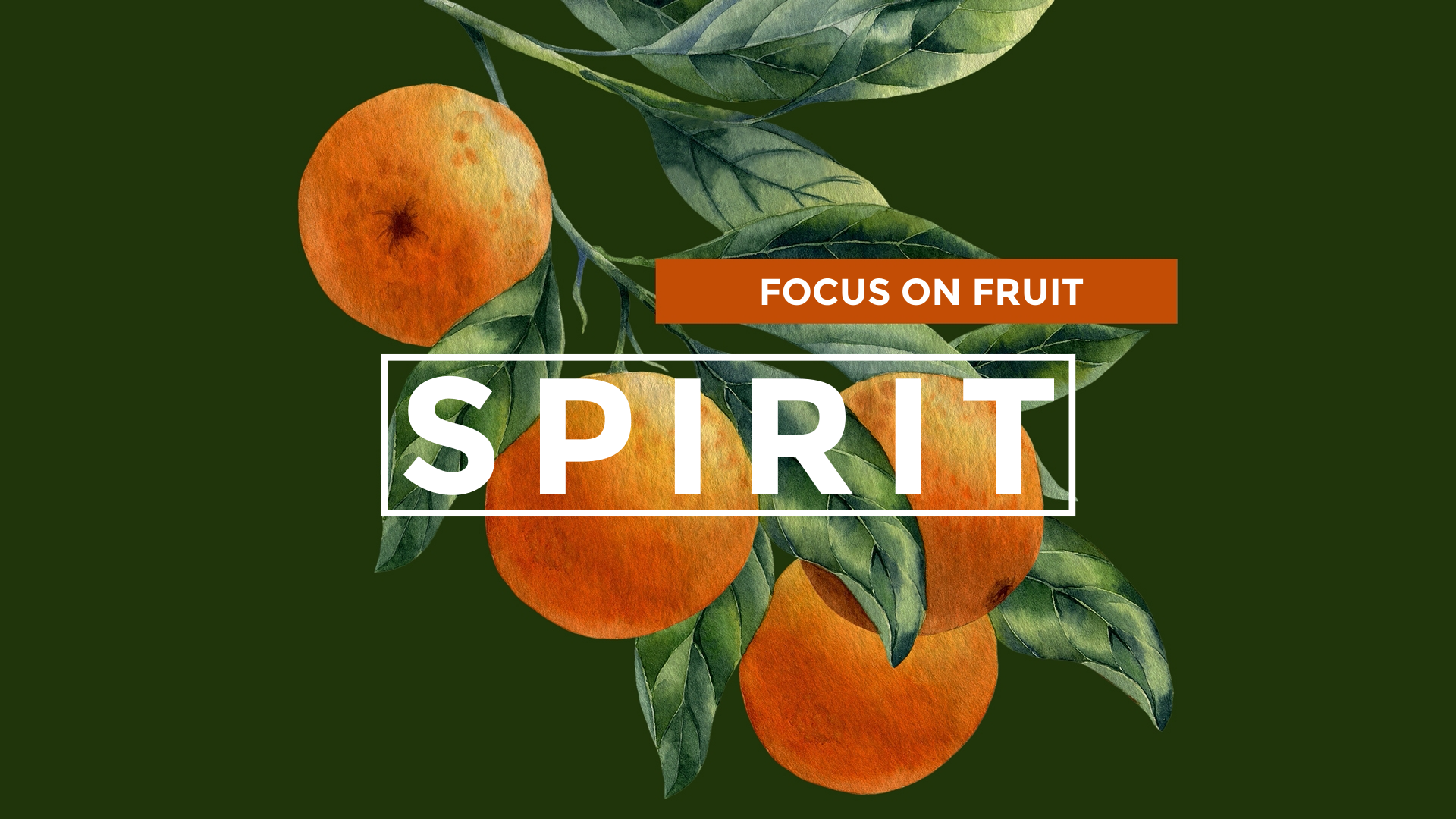 Late Service, Sunday, August 30, 2020 - Logos Sermons