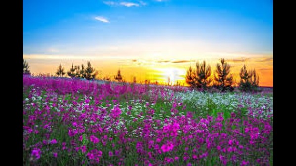 How To Live In Christ - Logos Sermons