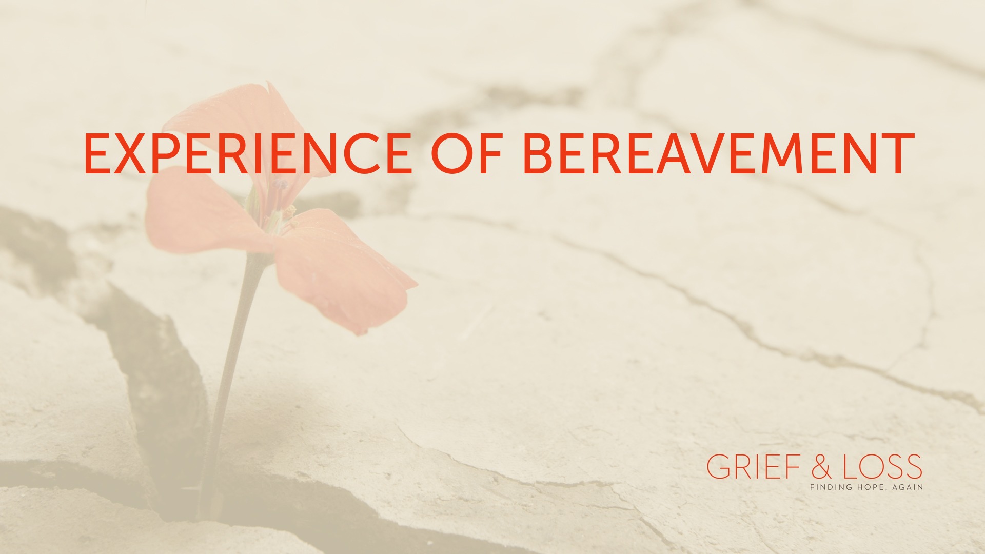 Experience of bereavement - Logos Sermons