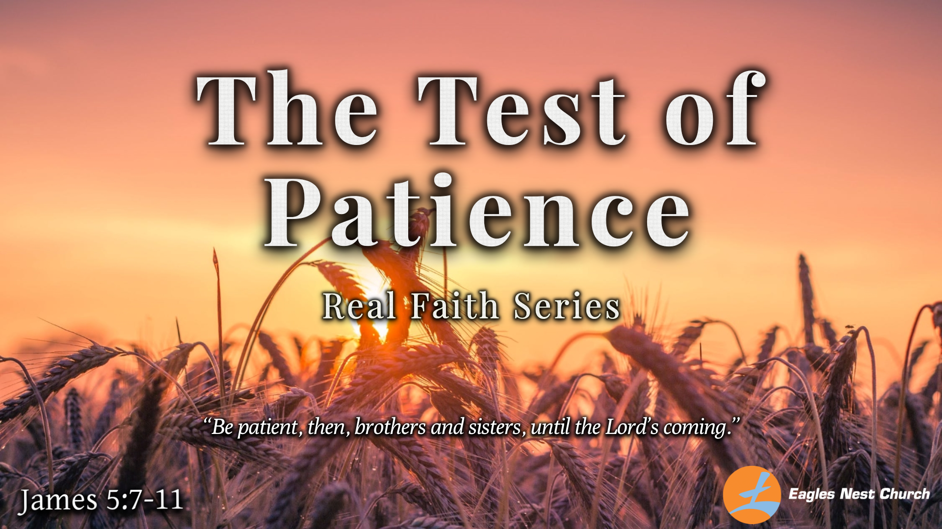 The Test of Patience - Logos Sermons