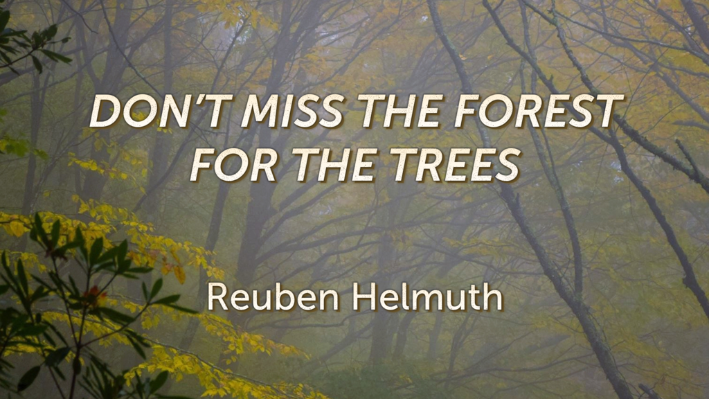Don’t Miss The Forest For The Trees - Faithlife TV