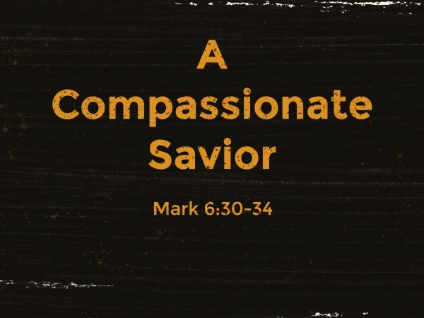 A Compassionate Savior - Logos Sermons