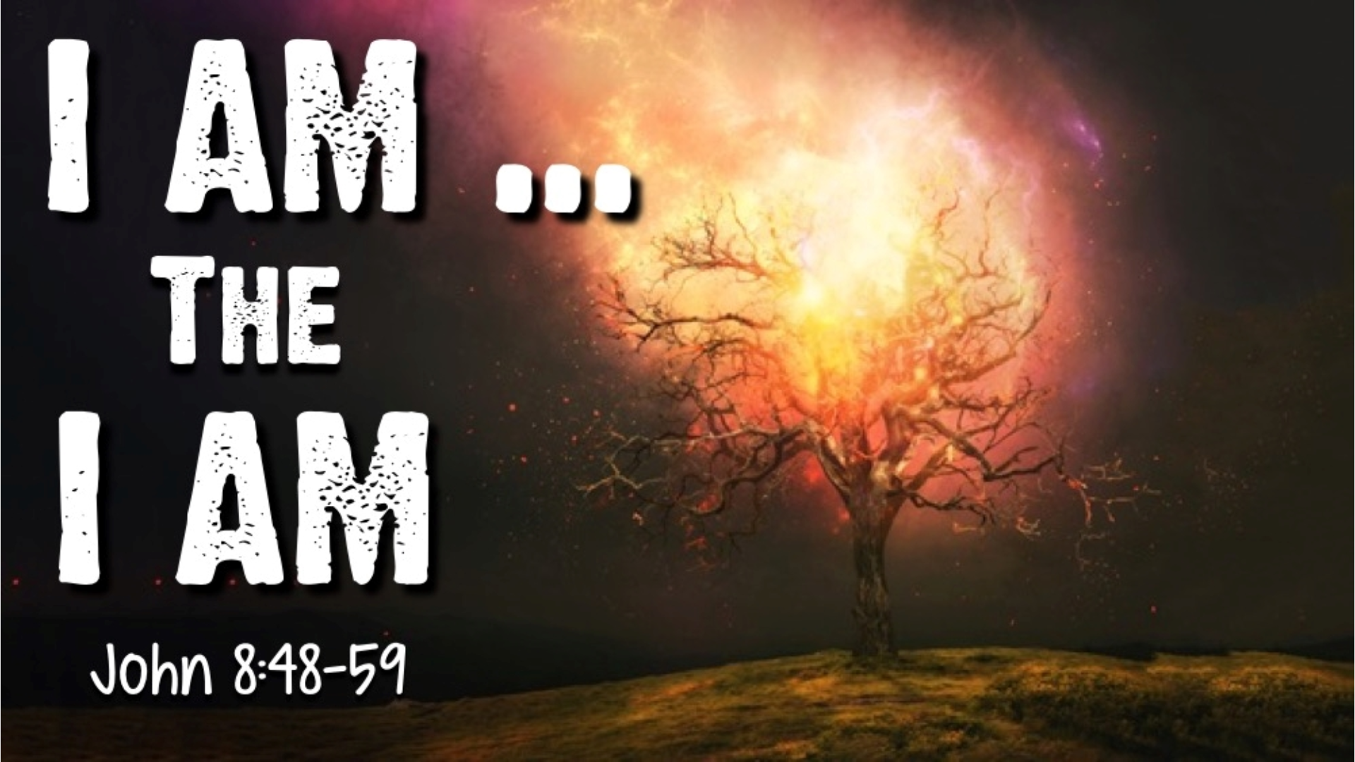 I AM the I AM - Logos Sermons