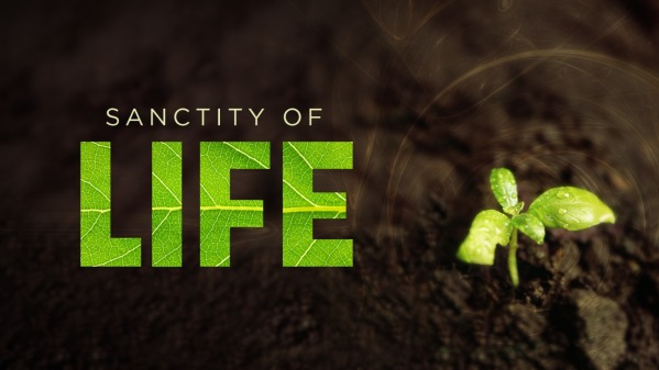 Life Is Precious - Logos Sermons