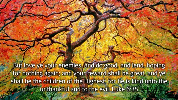 Sunday Morning 11/1/2020 Pastor Steve House - The Miracles of Jesus ...