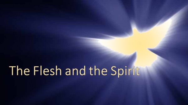 11-8-20 Flesh and Spirit - Logos Sermons