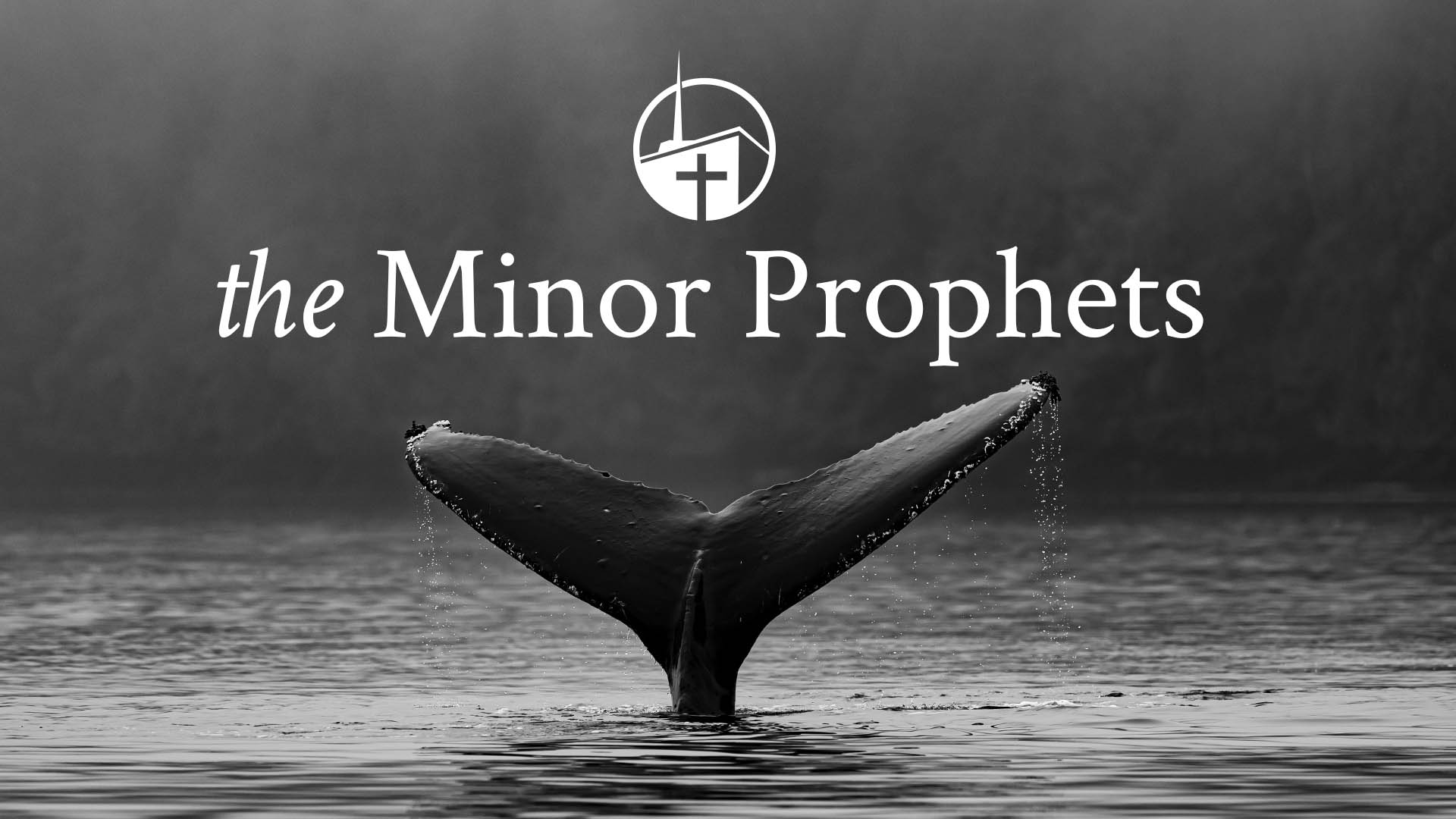 Message from the Minor Prophets - Logos Sermons