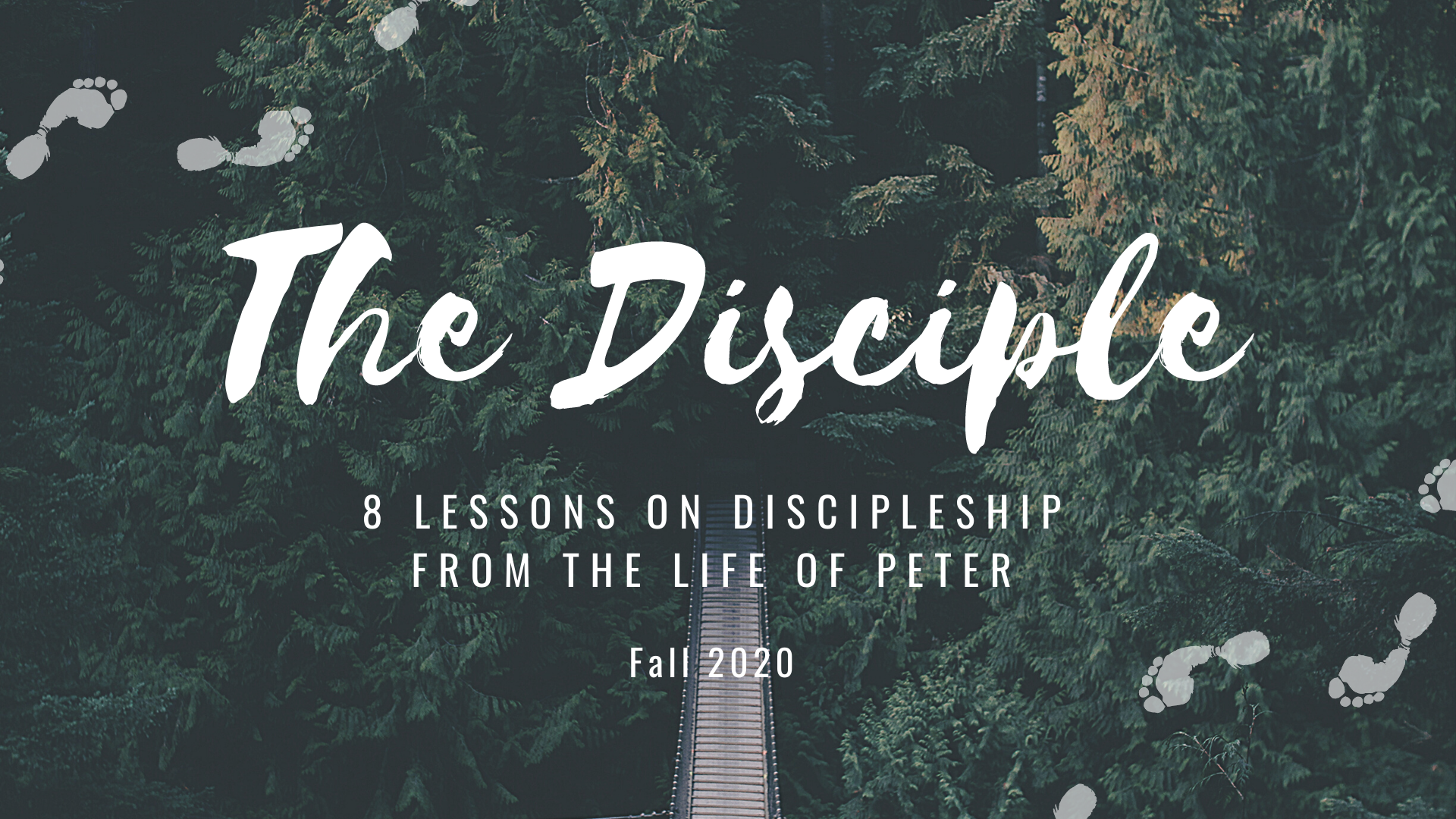 The Disciple: 8 Lessons on Discipleship from the life of Peter - Be ...