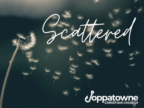 December 6, 2020: Scattered - Logos Sermons