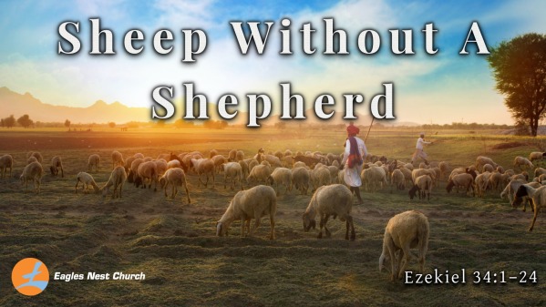 Sheep Without A Shepherd - Logos Sermons