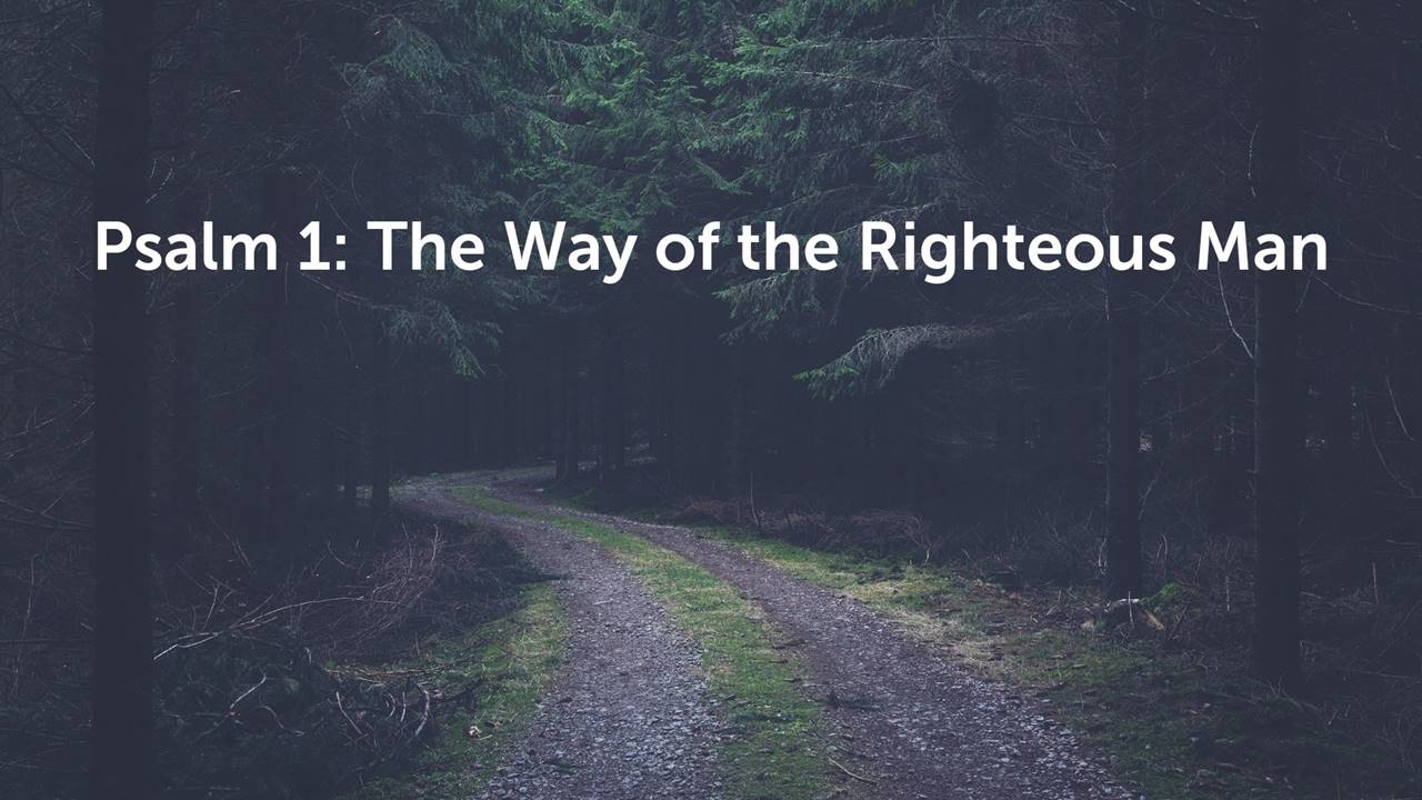 Psalm 1 - The Way of the Righteous Man - Logos Sermons
