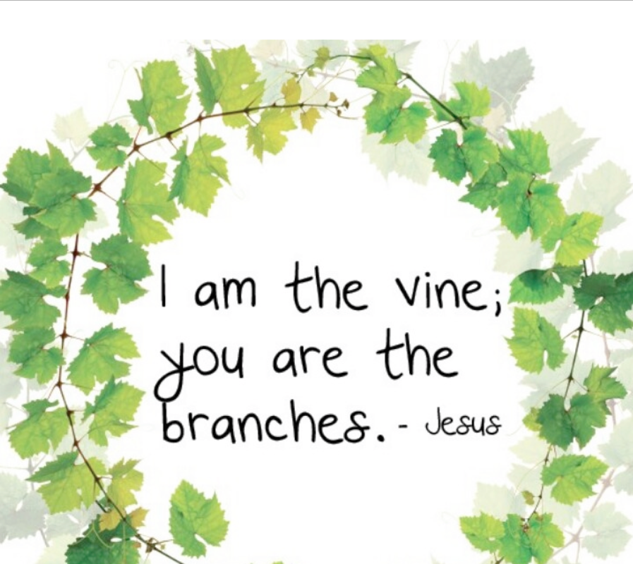 John 15 - Jesus is the vine, we are the branches - Logos Sermons