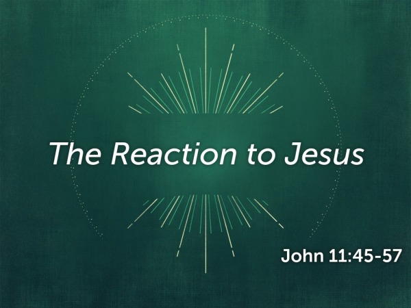 The Reaction to Jesus - Logos Sermons