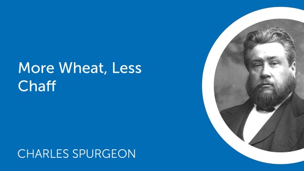 More Wheat, Less Chaff - Logos Sermons