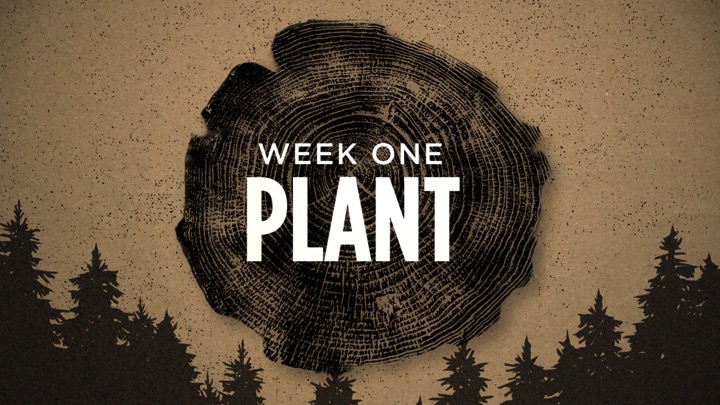 Rooted Week 1 Plant Logos Sermons
