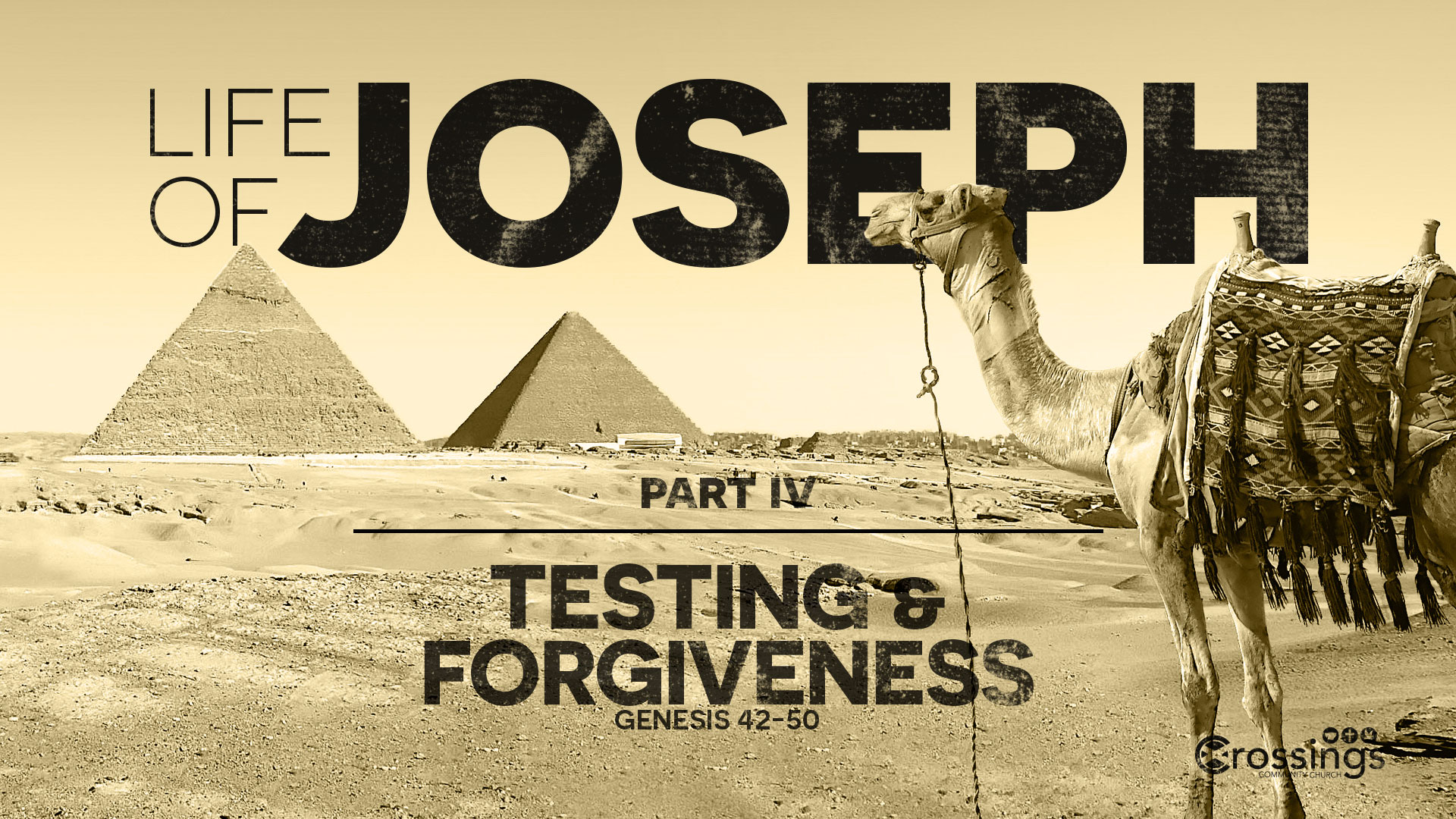 Testing & Forgiveness (Life of Joseph IV) - Logos Sermons