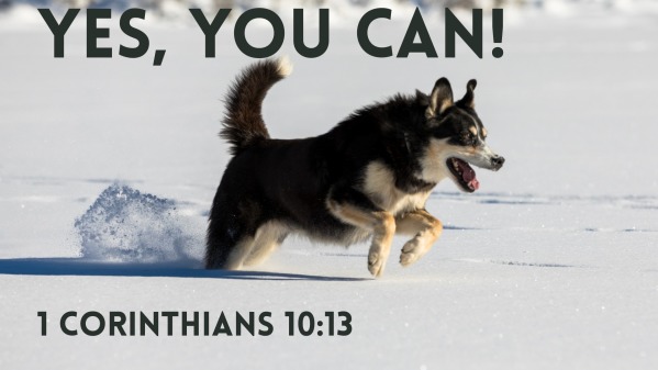 Service - January 31, 2021 - Yes, You Can! - Logos Sermons
