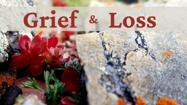 Grief and Loss - Logos Sermons