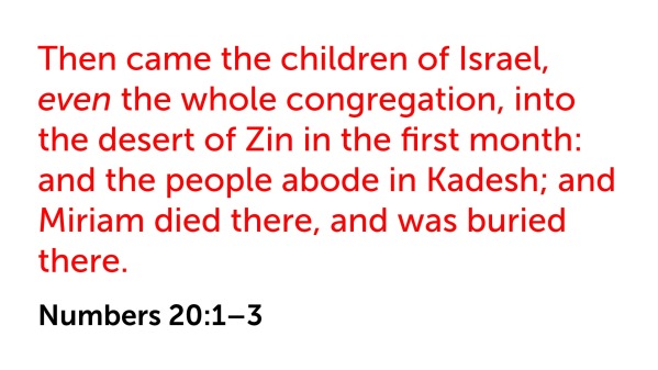 "The Devil is in the Details" (Importance of Listening to God's Voice ...