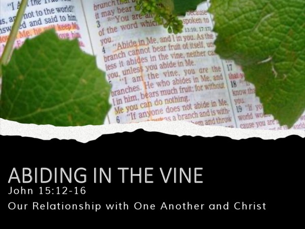Abiding In The Vine - Logos Sermons