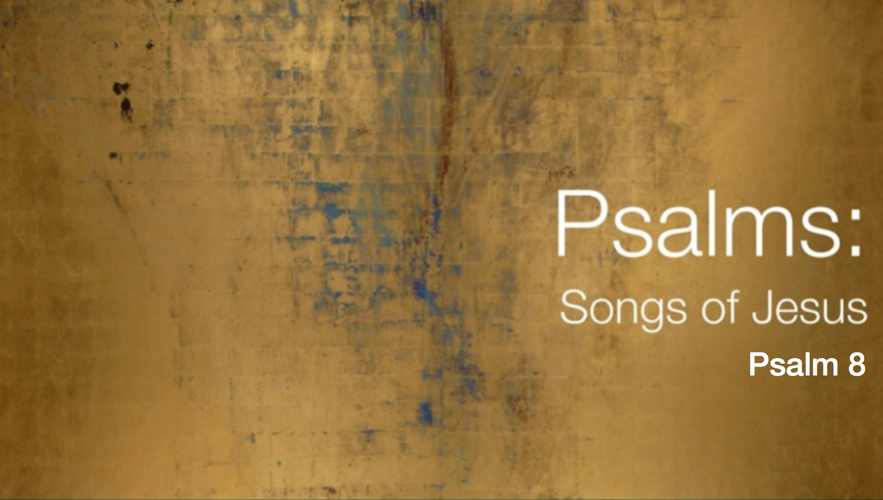 Psalm 8. Your Ultimate purpose in life is to worship Christ as your ...