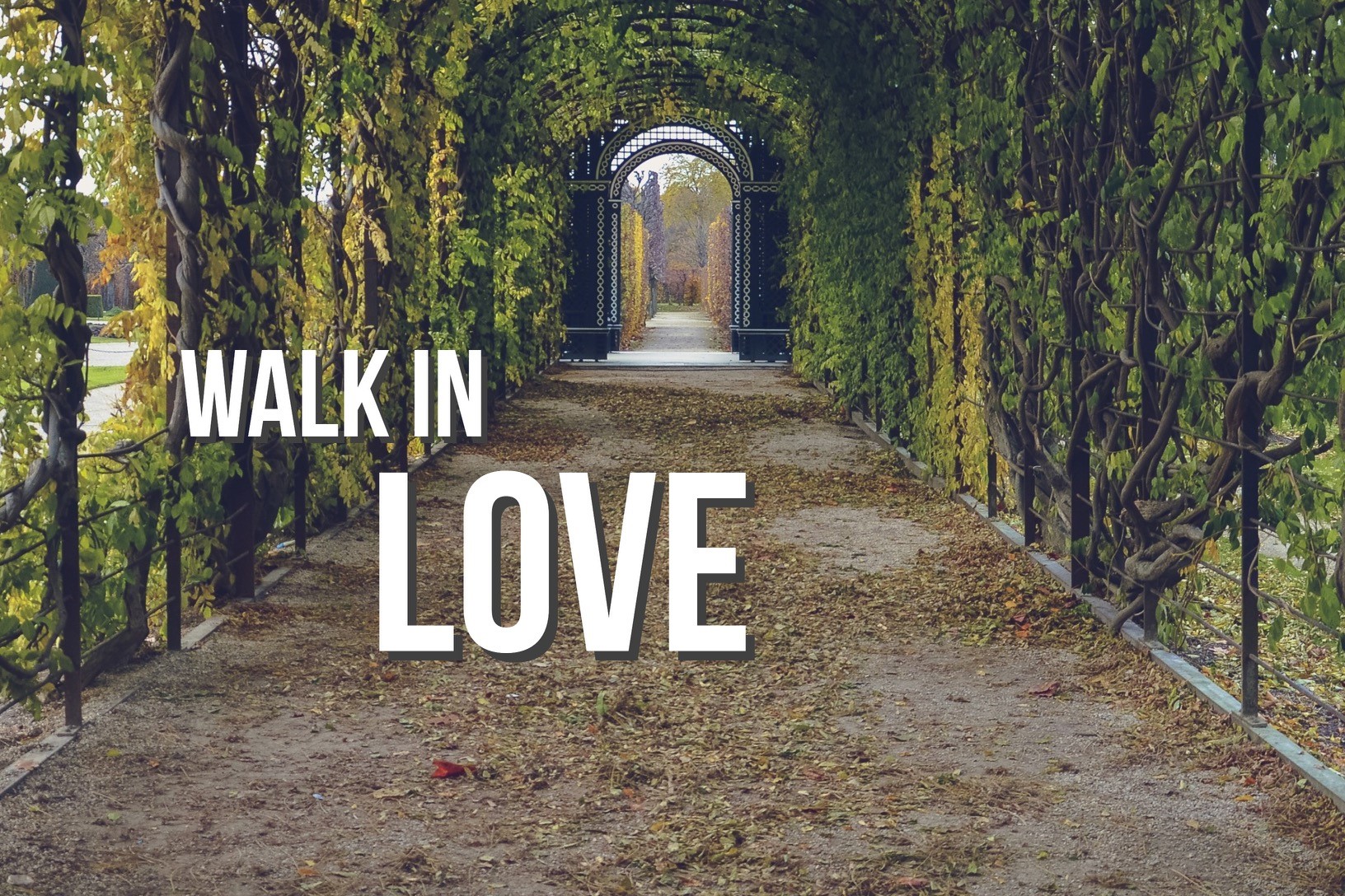 Walk in Love - Logos Sermons