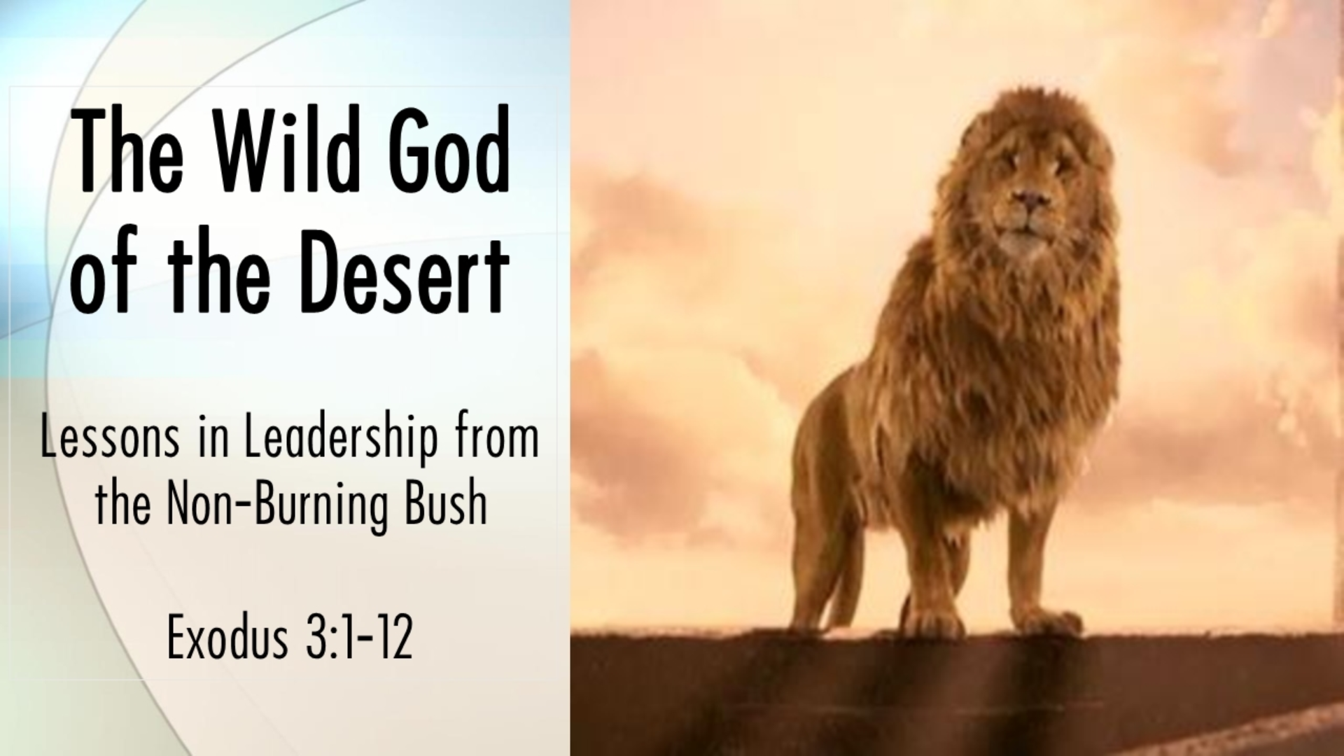 The Wild God of the Desert - Logos Sermons