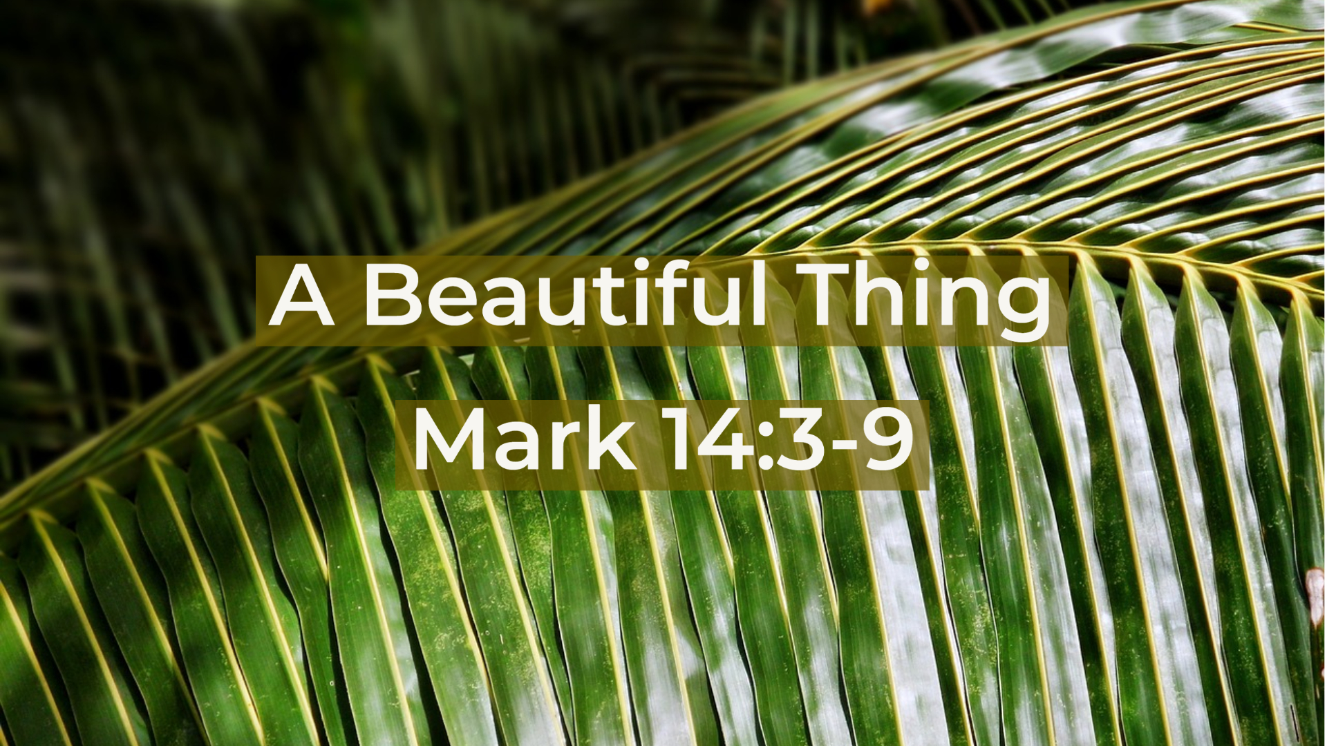 A Beautiful Thing - Logos Sermons