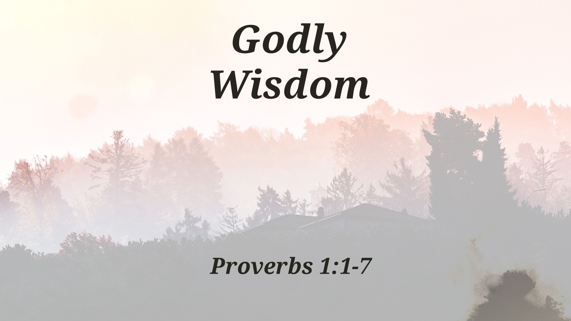 Godly Wisdom Faithlife Sermons godly-wisdom-faithlife-sermons