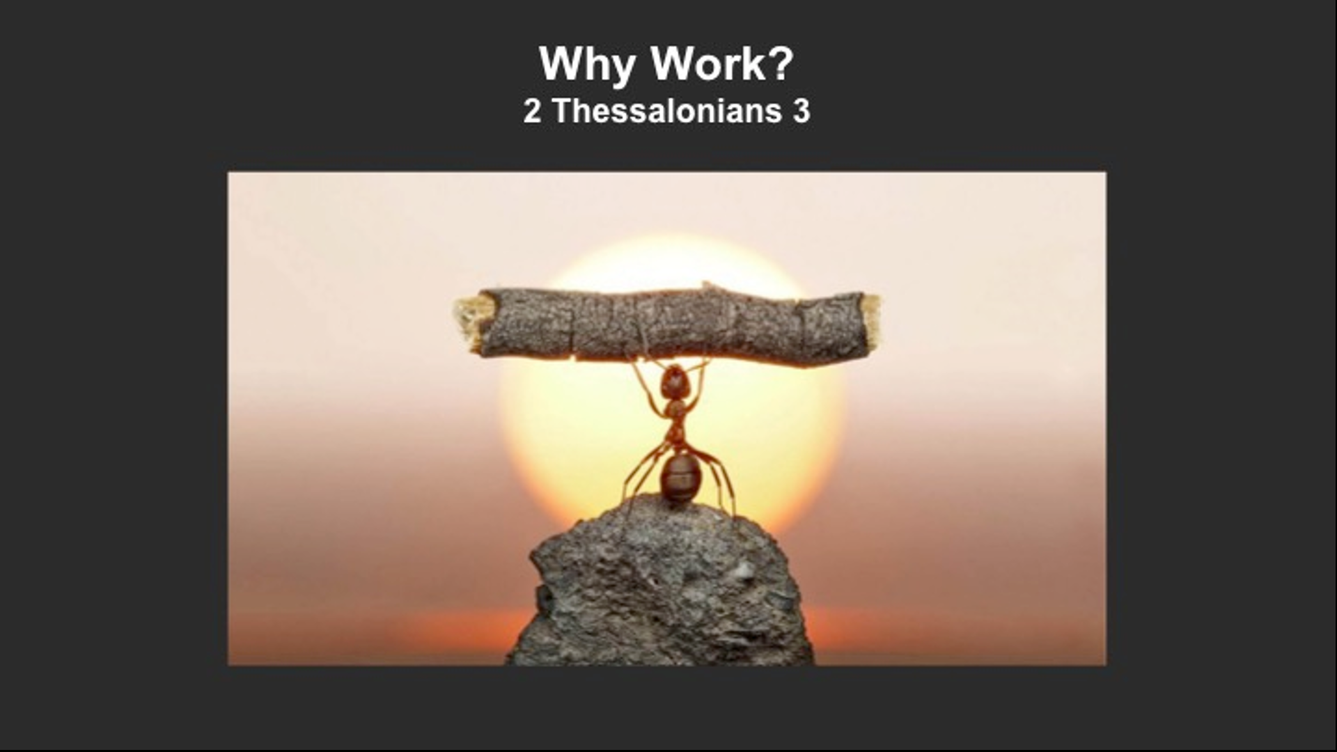 2 Thessalonians 3 - Why Work? - Logos Sermons