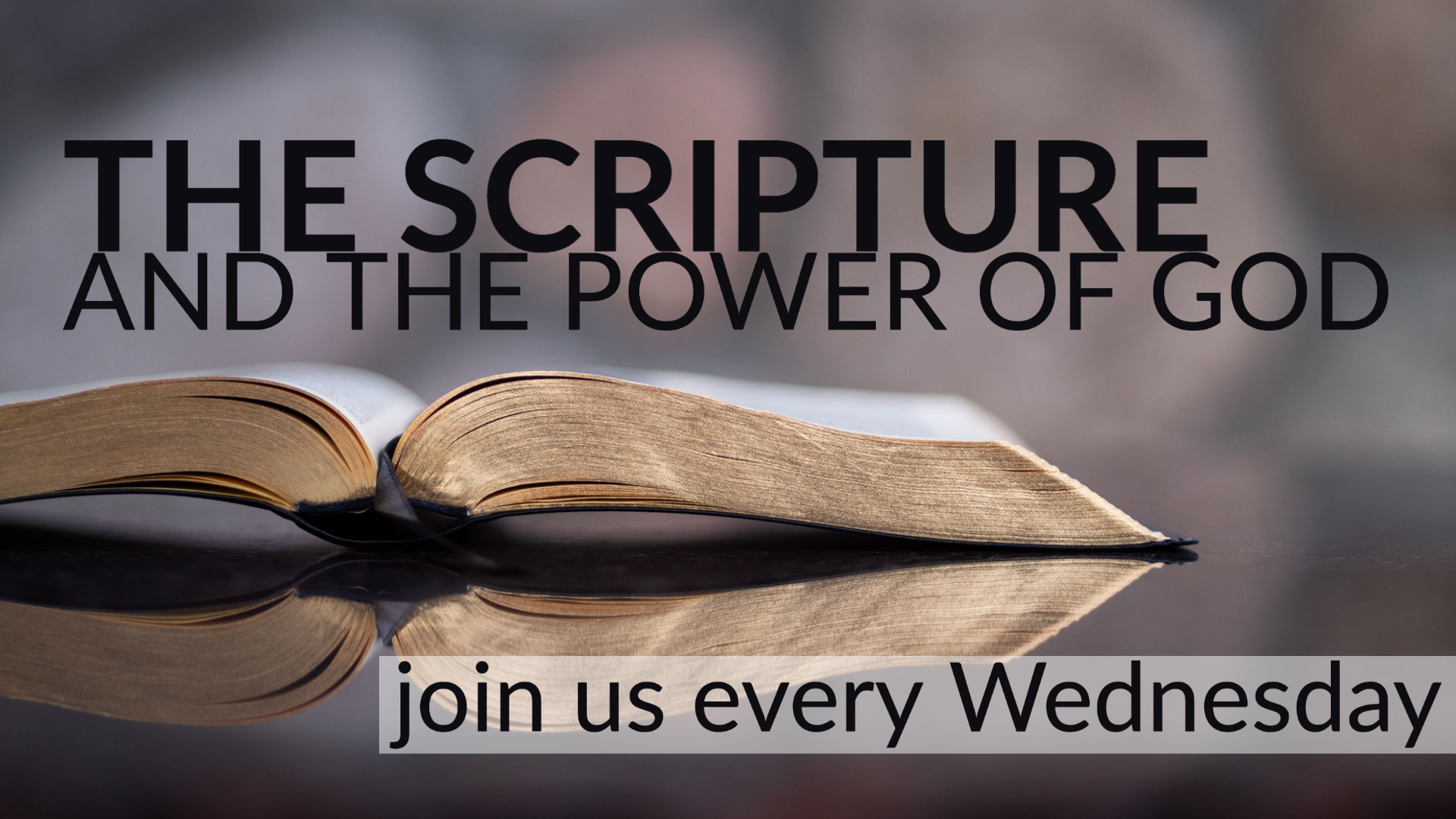 The Scripture and the Power of God 3 - Logos Sermons