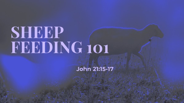 Sheep Feeding 101 - Logos Sermons