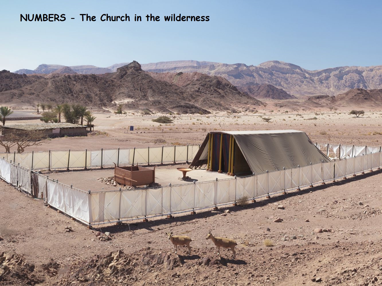 Numbers 1-6 Camping in the wilderness - Logos Sermons