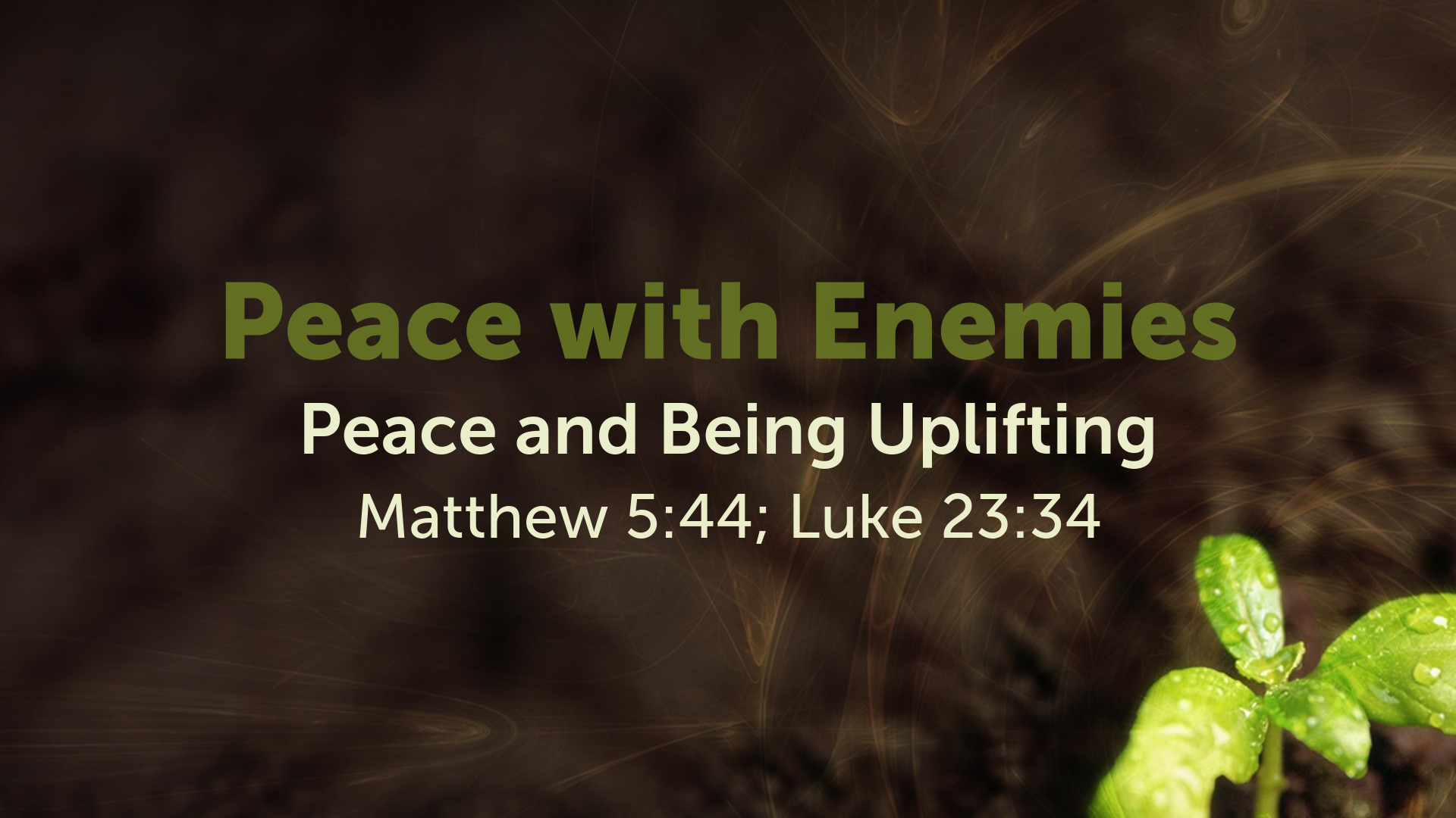 Peace with Enemies - Logos Sermons