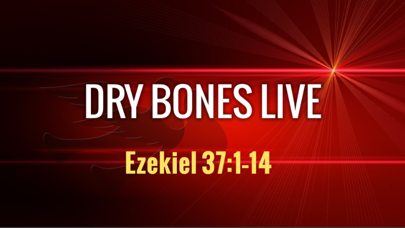 Dry Bones Live - Logos Sermons